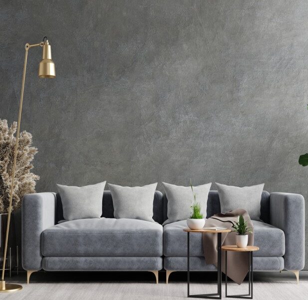 Concrete Limewash Texture and Plaster Manufacturer -Vista Paints